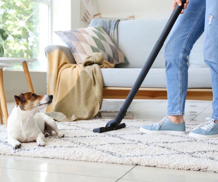 Vacuum and Mop – Click Clean Shine